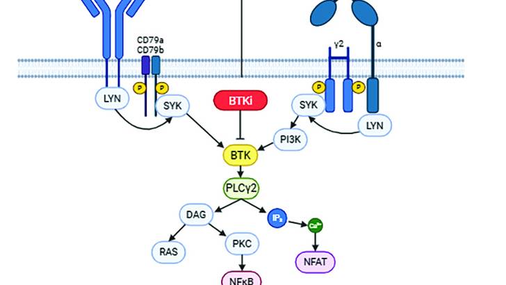 MS Minute: Update on BTK Inhibitors for Multiple Sclerosis