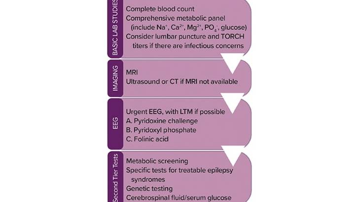 Epilepsy Essentials: Metabolic Causes of Neonatal Seizures