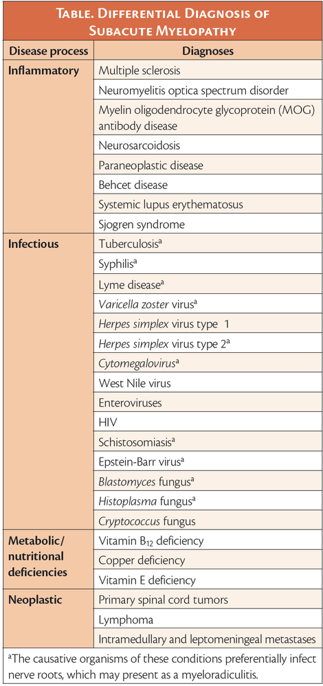 MOG Antibody Disease