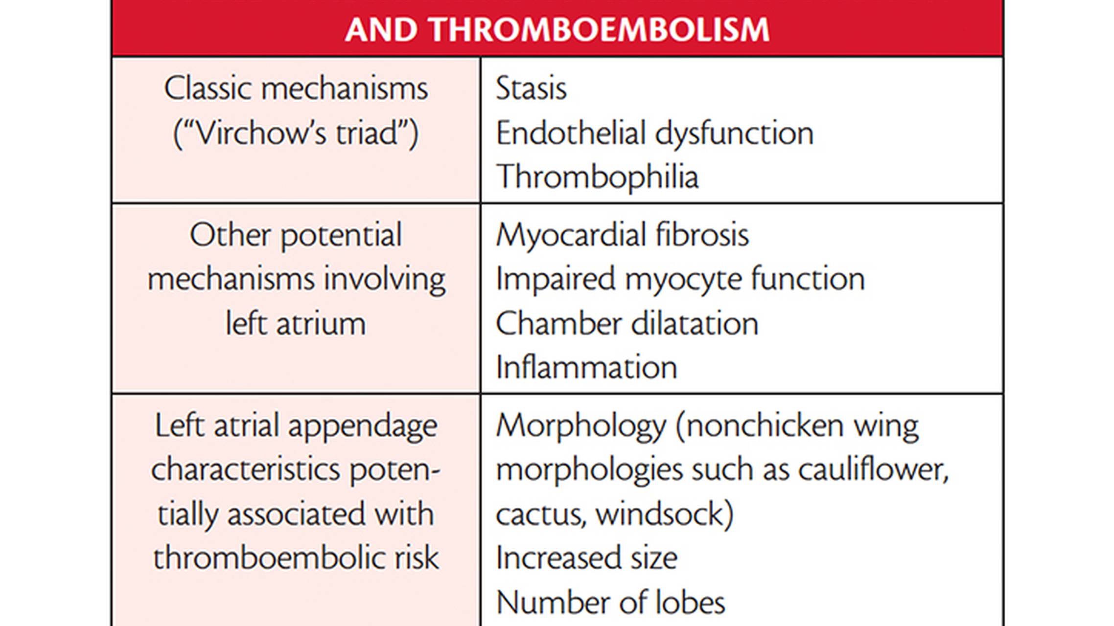 Atrial Cardiopathy and Stroke