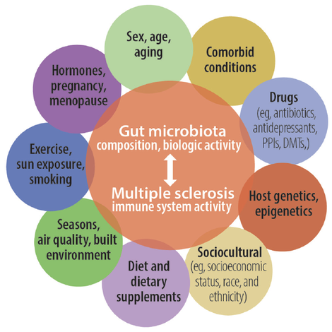 MS Minute: Multiple Sclerosis & the Gut Microbiome