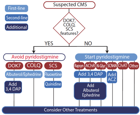 Congenital Myasthenic Syndrome Treatment
