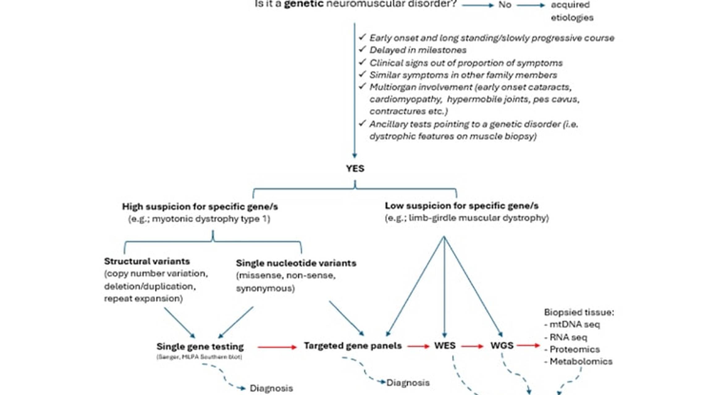 Neuromuscular Notes: Genetic Testing for Neuromuscular Disea