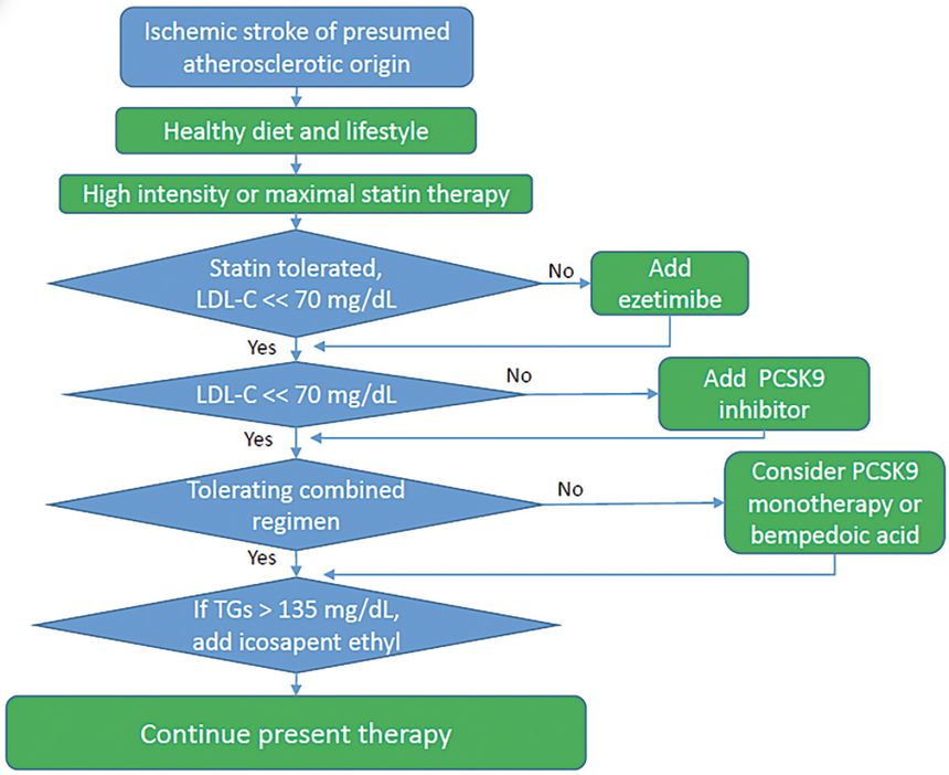 Novel Lipid-Lowering Agents and Stroke Prevention:New Tools,