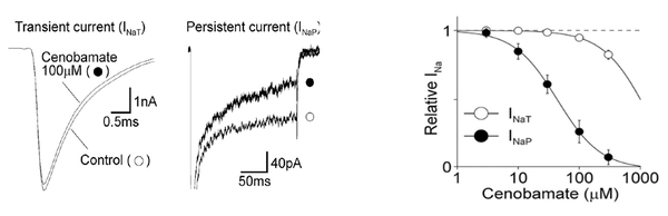 Emerging Selective Sodium Channel Antagonists for Epilepsy