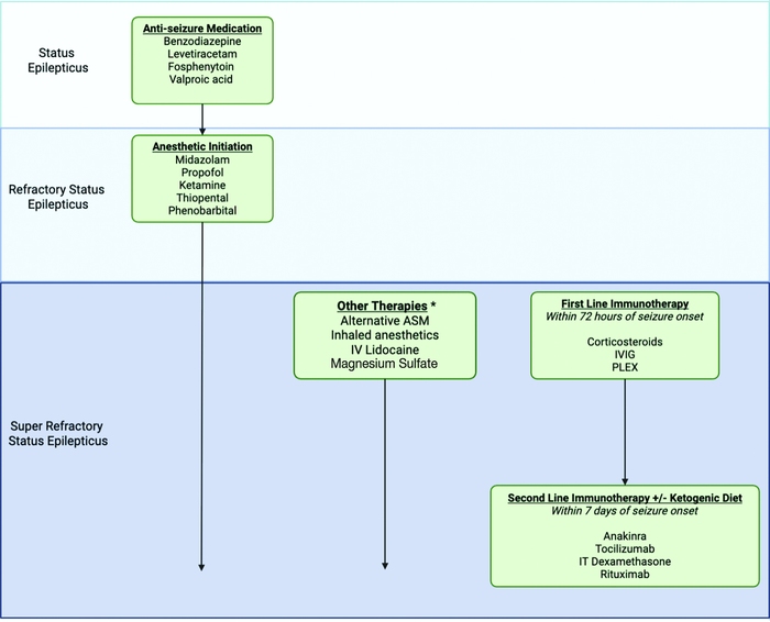 Immunotherapy for Refractory Status Epilepticus