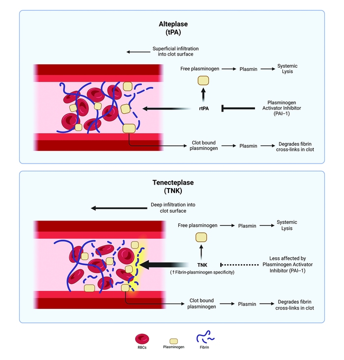 Tenecteplase and the Future of Thrombolytics