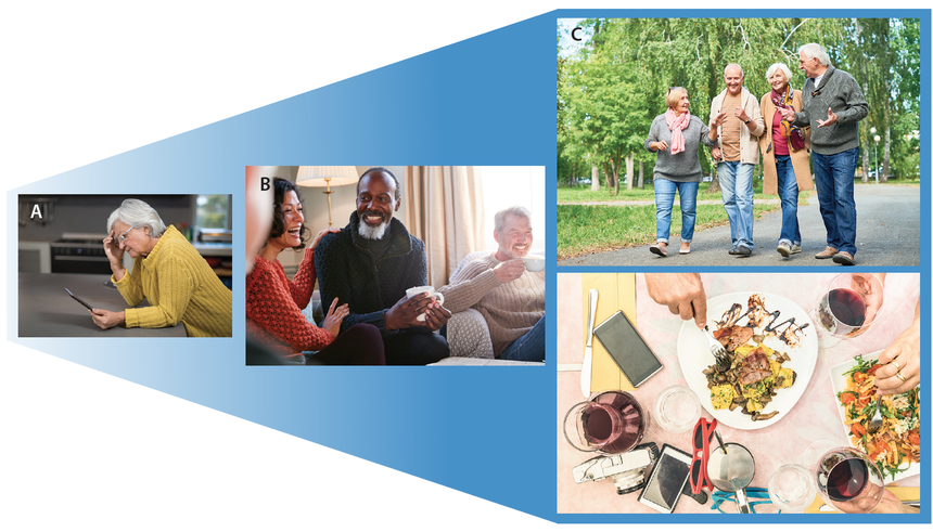 Healthy Cognitive Aging