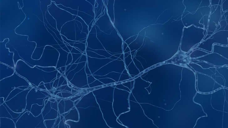 Diagnosing Small Fiber Neuropathy Through the Use of Skin Bi