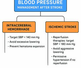 Stroke Care: The Evolution of Mechanical Thrombectomy