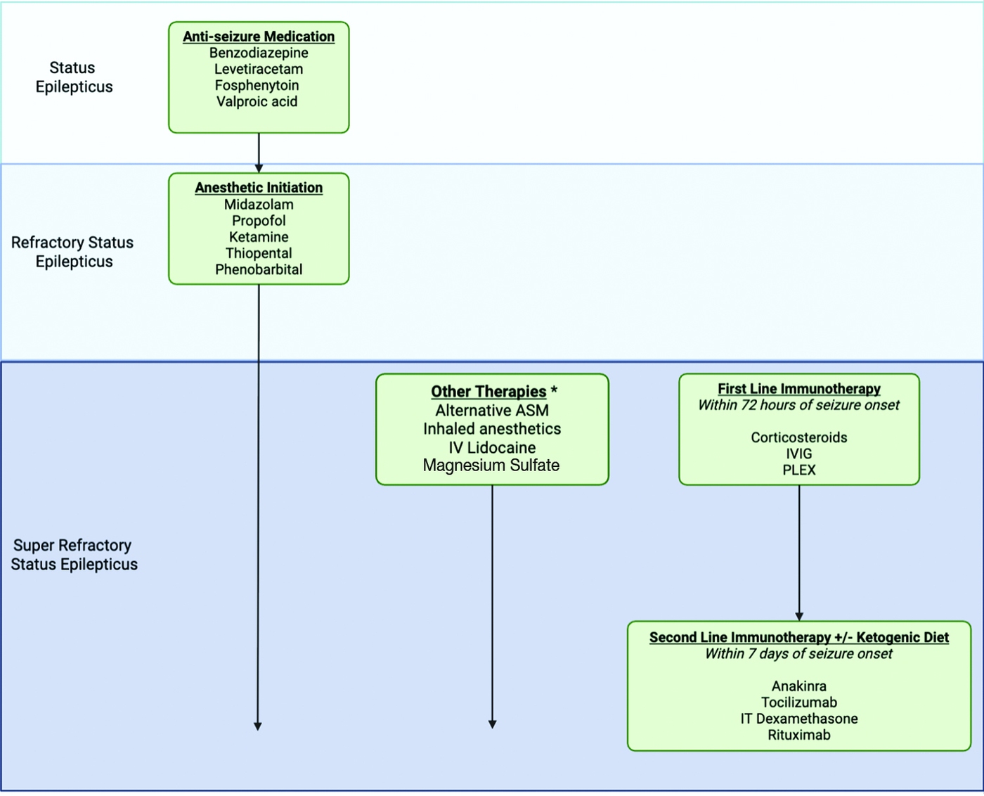 Immunotherapy for Refractory Status Epilepticus