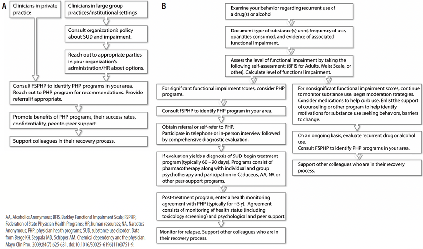 The Whole Physician: Physicians with Substance Use Disorder: