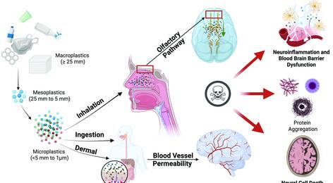 Diagnosing Small Fiber Neuropathy Through the Use of Skin Bi