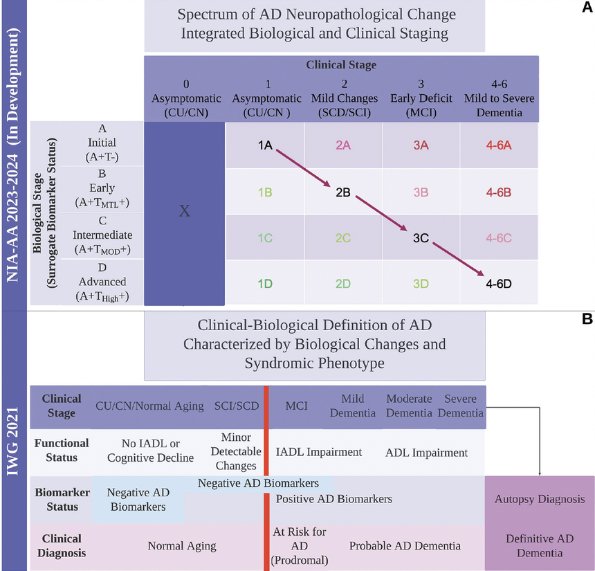 Blood-Based Biomarkers in Alzheimer Disease: Clinical Implem