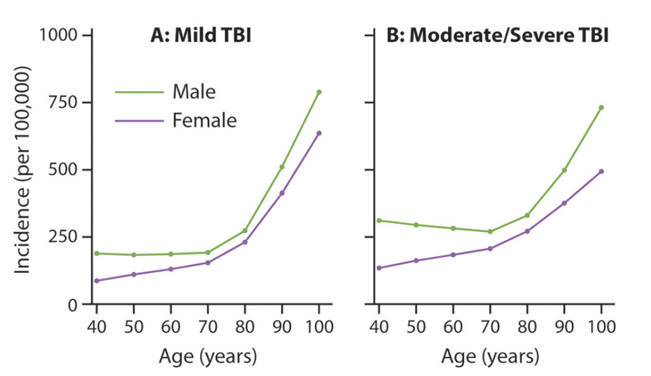 Traumatic Brain Injury in Older Adults: Epidemiology, Manage
