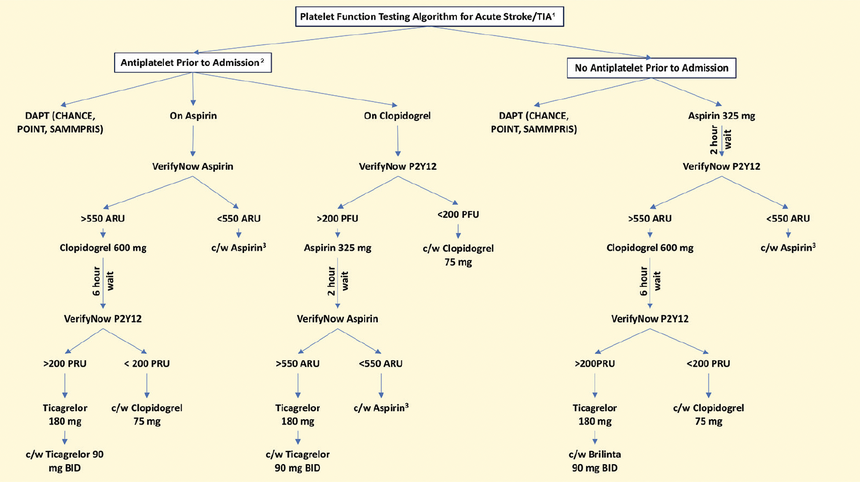 Stroke Snapshot: Platelet Function Testing in Ischemic Strok