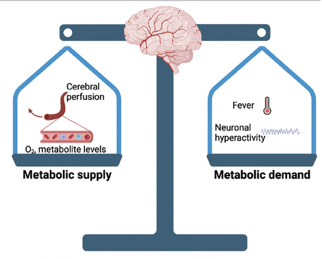 ICU Care for Severe Traumatic Brain Injury