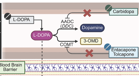 Emerging Treatments for Tardive Syndrome