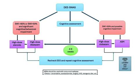 The New CPT Codes for Video-EEG