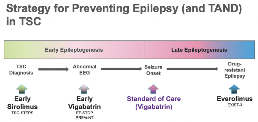 Epilepsy Essentials: The Current and Future Landscape of Tub