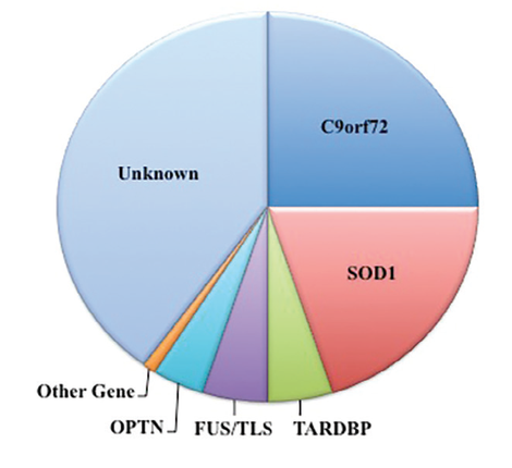 Neuromuscular Notes: Genetics of Amyotrophic Lateral Scleros