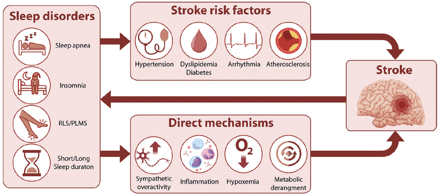 The Bidirectional Relationship Between Sleep Disorders and S