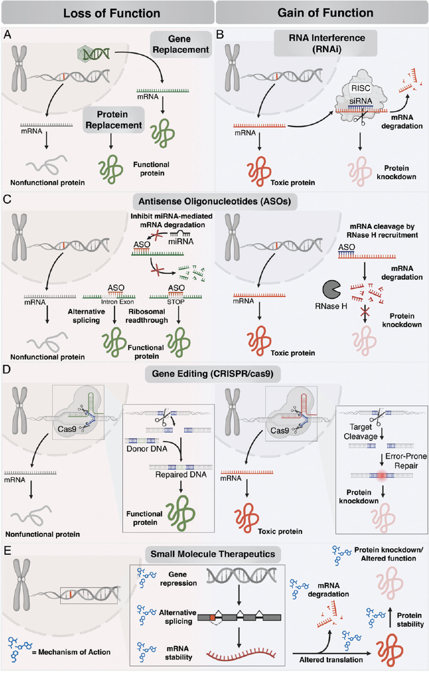 The Emerging Landscape of Targeted Therapeutics for Genetic