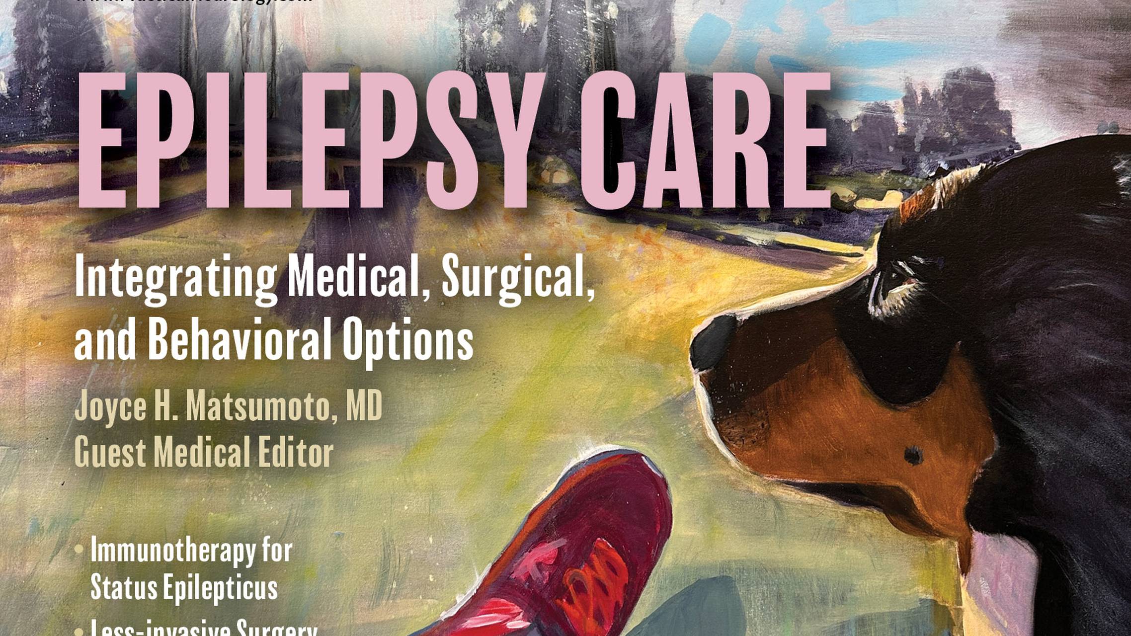 Epilepsy Care: Integrating Medical, Surgical, and Behavioral