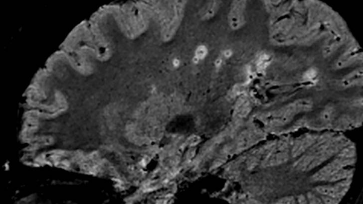 Point/Counterpoint: Food and Drug Administration Multiple Sc