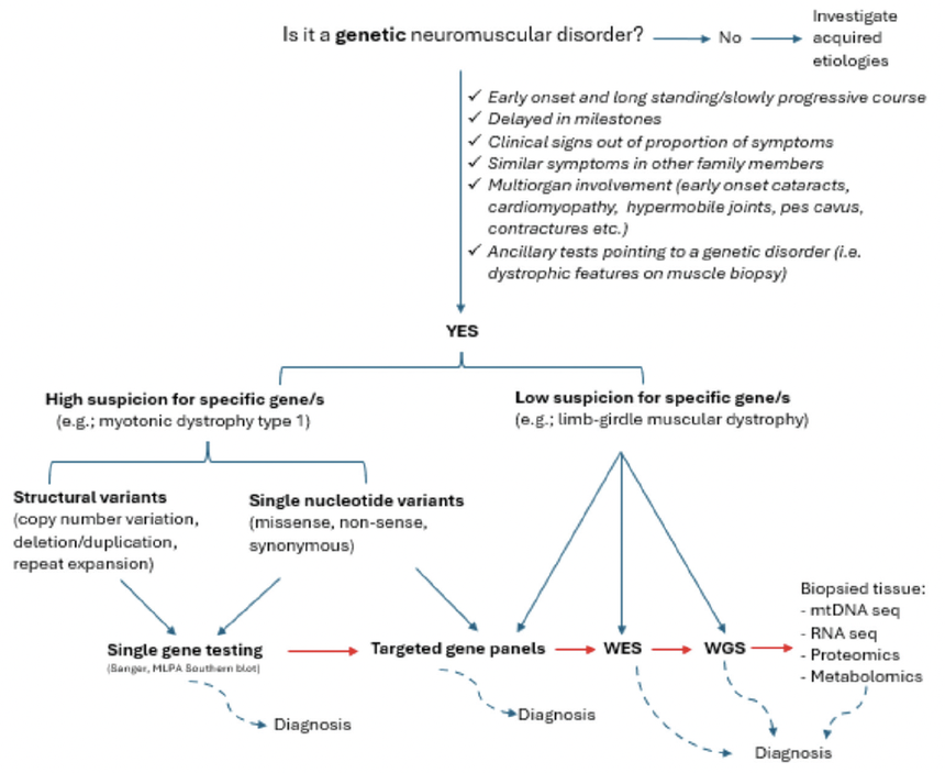 Neuromuscular Notes: Genetic Testing for Neuromuscular Disea