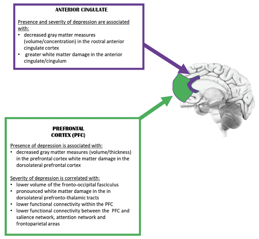 Mood Disorders Following Traumatic Brain Injury
