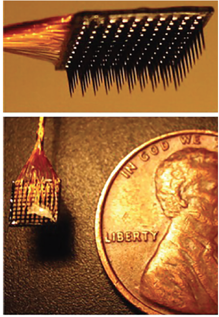 Moving the Mouse With the Mind