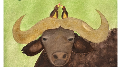 Tonsillectomy for the Treatment of Suspected Sleep Apnea wit