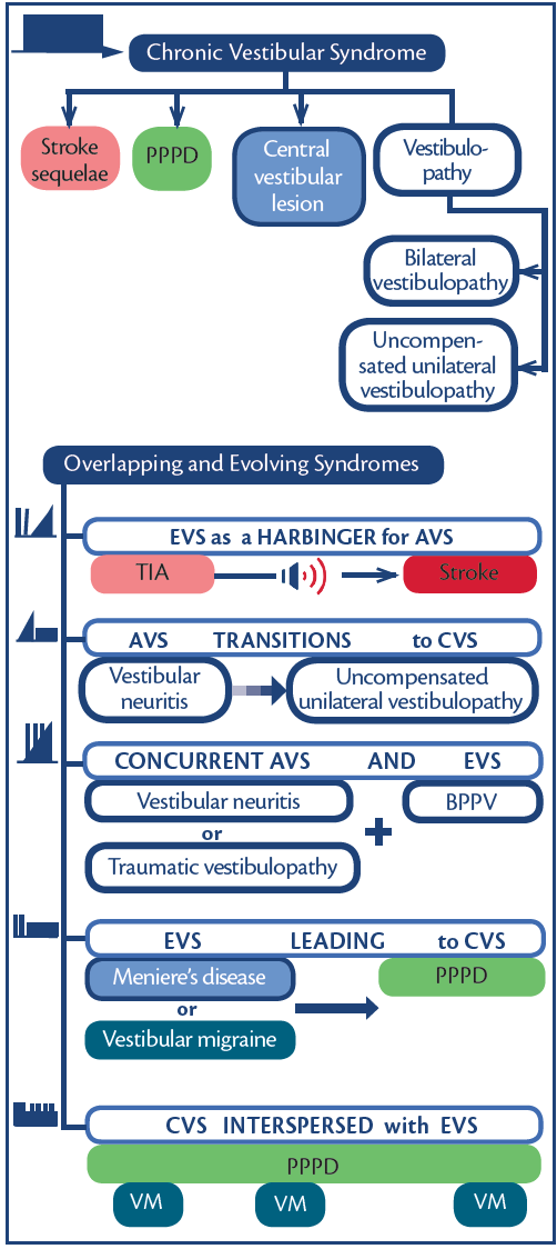 Dizziness and Vertigo