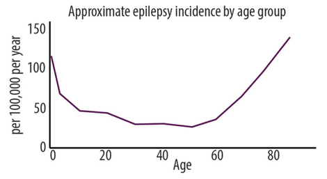 Late-Onset Epilepsy