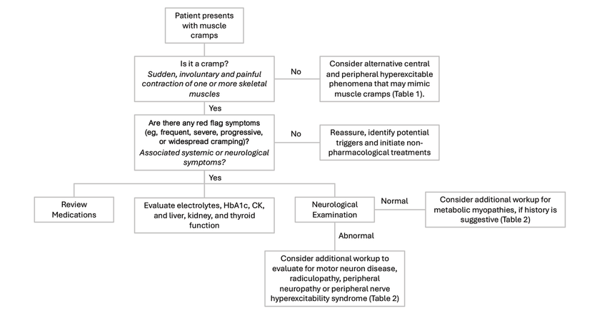 Diagnosis and Management of Muscle Cramps