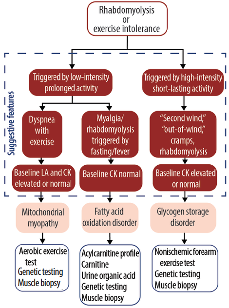 Neuromuscular Notes: Diagnosing Metabolic Myopathies