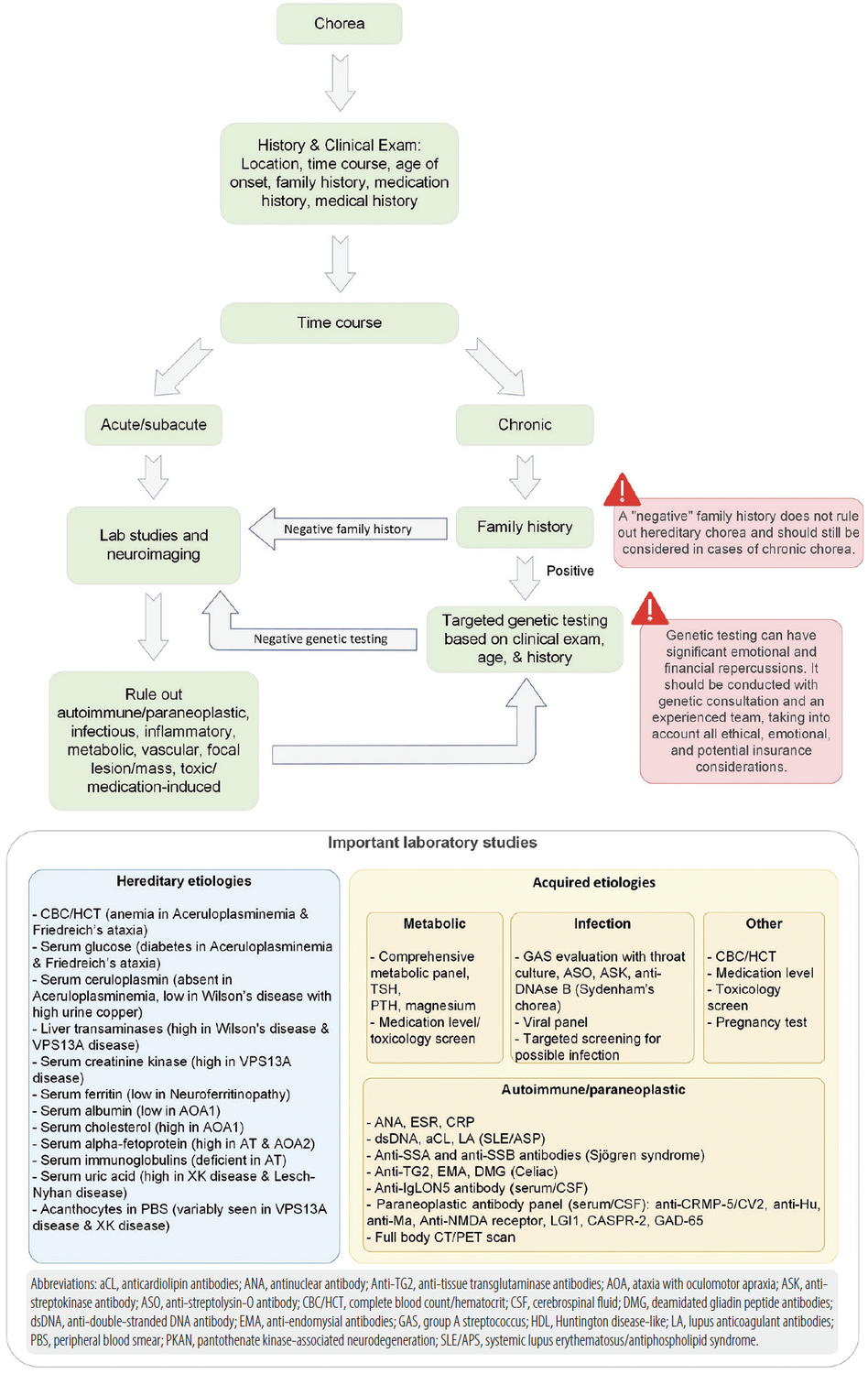 Clinical Approach to the Diagnostic Evaluation of Chorea