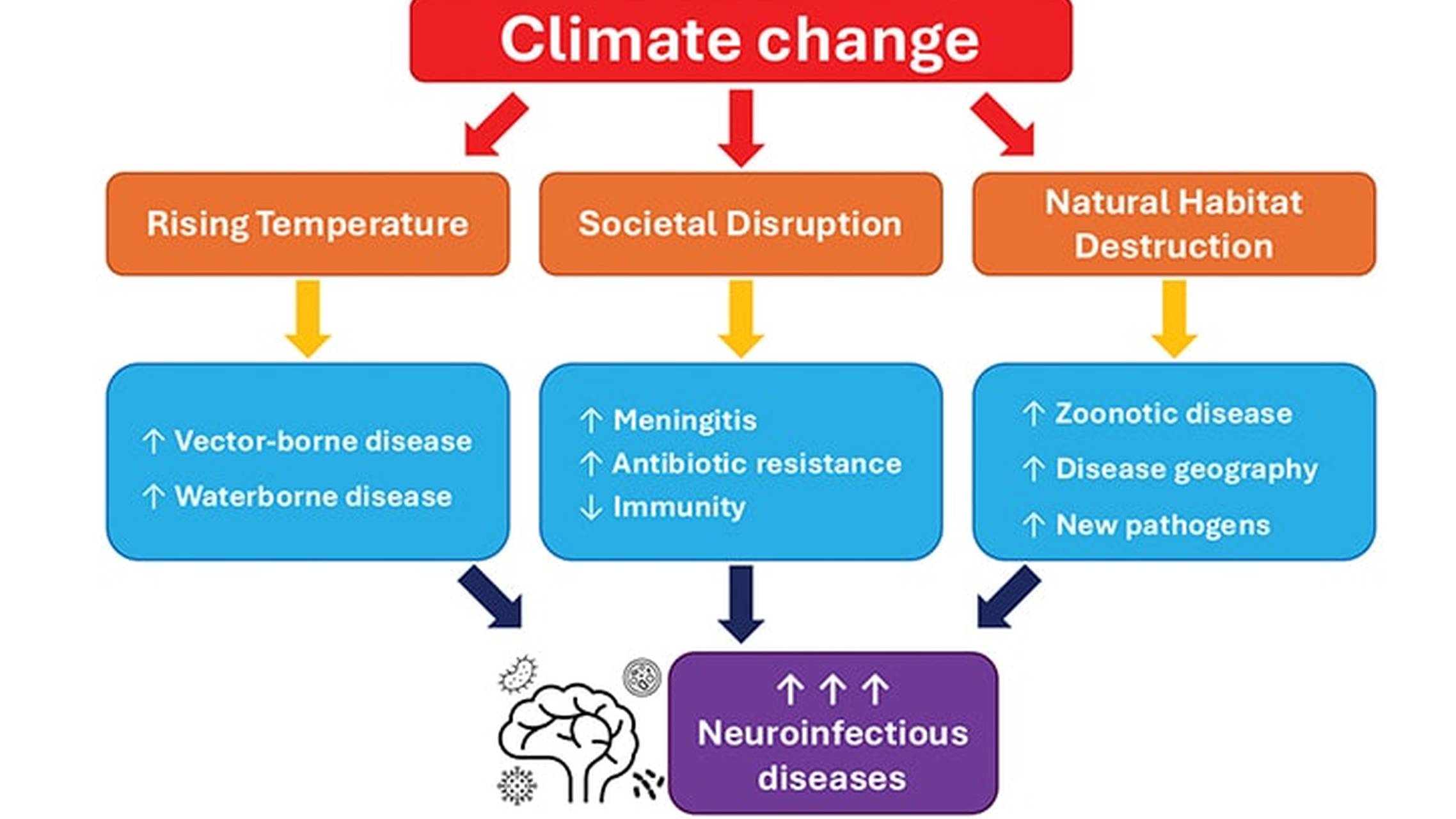The Effects of Climate Change on Emerging Infections and the
