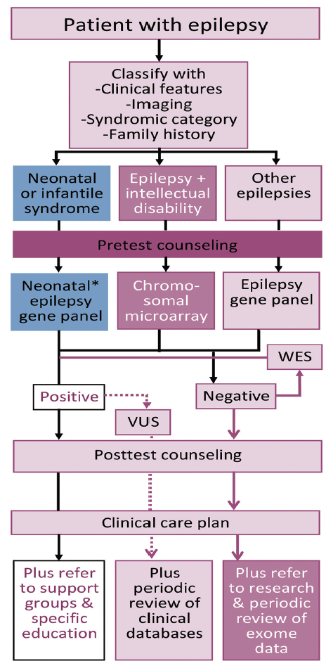Genetic Testing in the Care of Patients With Epilepsy