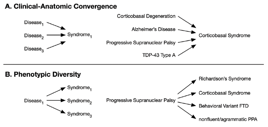 A Precision Medicine Approach to Dementia Care: Syndrome, Et
