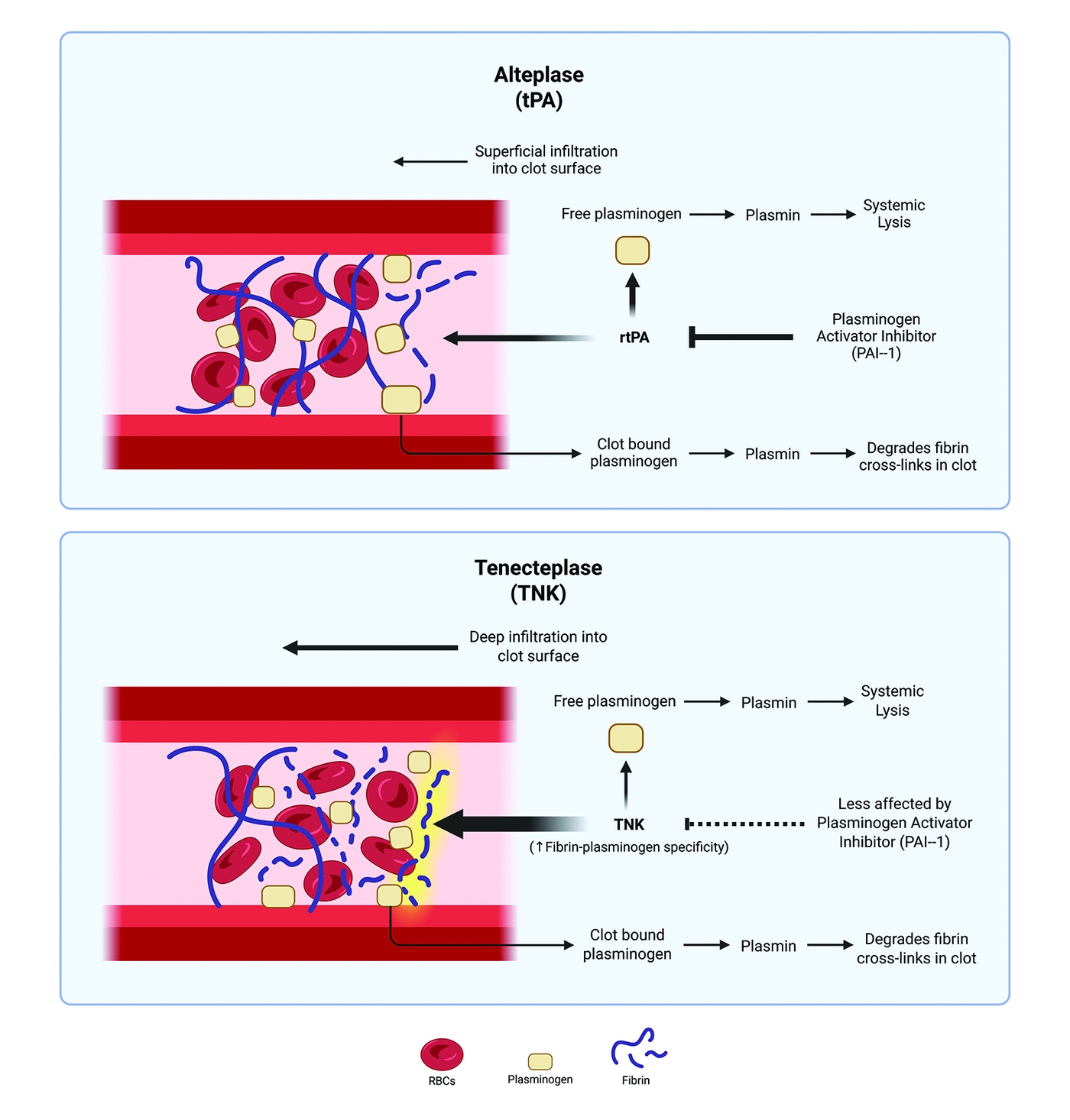 Tenecteplase and the Future of Thrombolytics