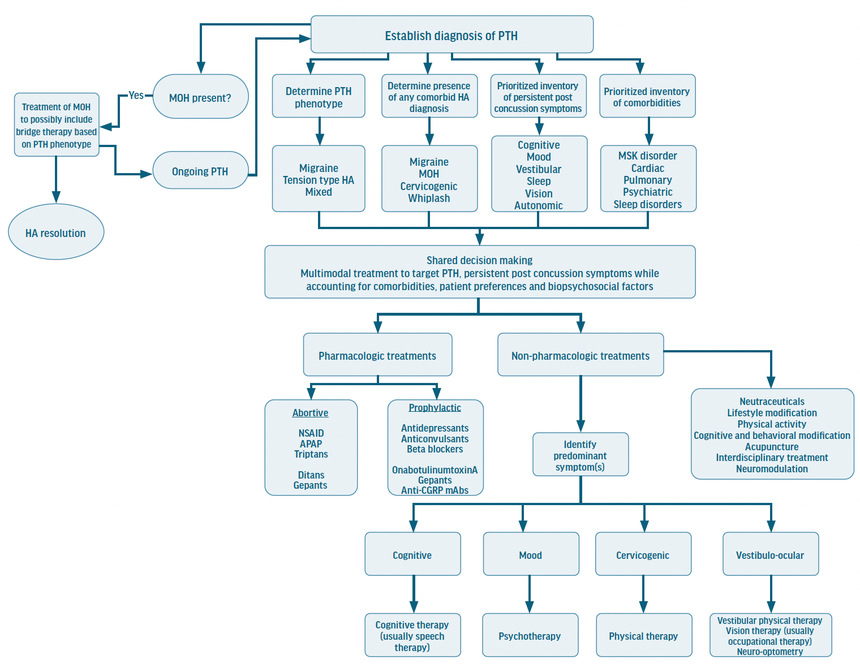 Posttraumatic Headache: A Comprehensive Approach