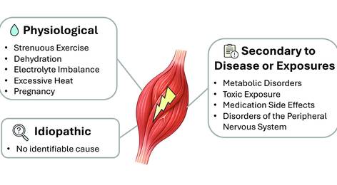 Inherited Neuropathies: Giant Axonal Neuropathy, Charcot-Mar