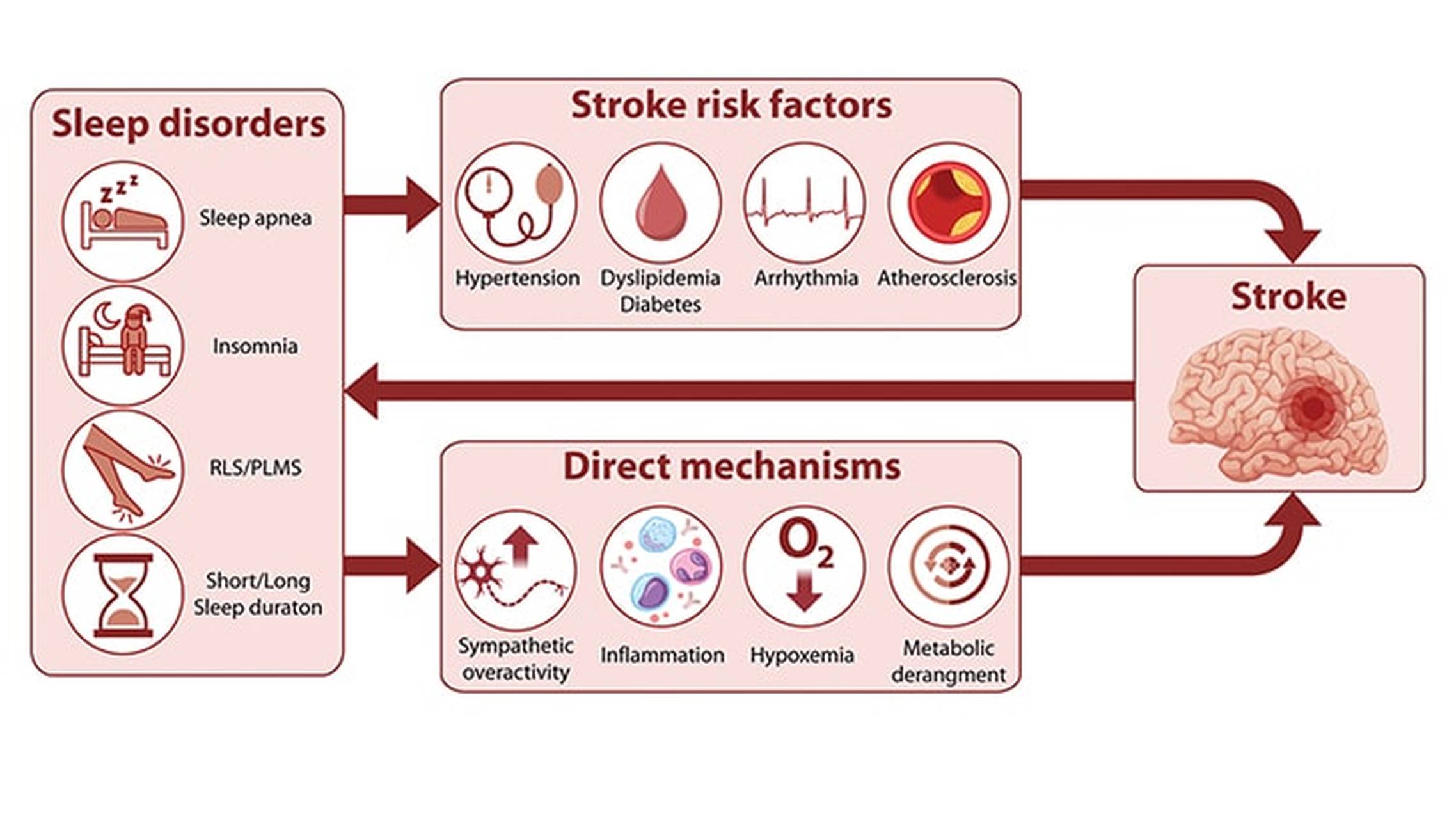 The Bidirectional Relationship Between Sleep Disorders and S