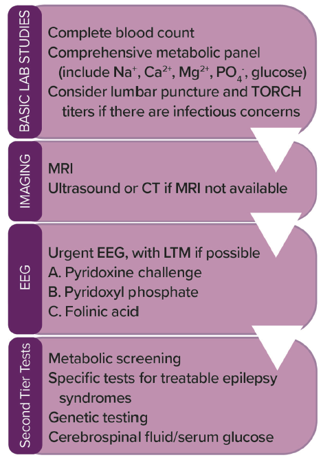 Epilepsy Essentials: Metabolic Causes of Neonatal Seizures