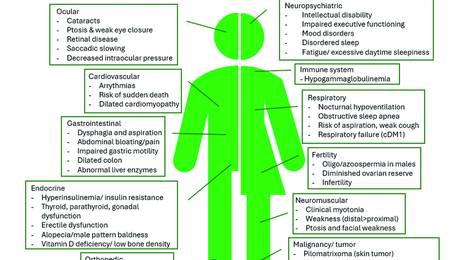 Inherited Neuropathies: Giant Axonal Neuropathy, Charcot-Mar