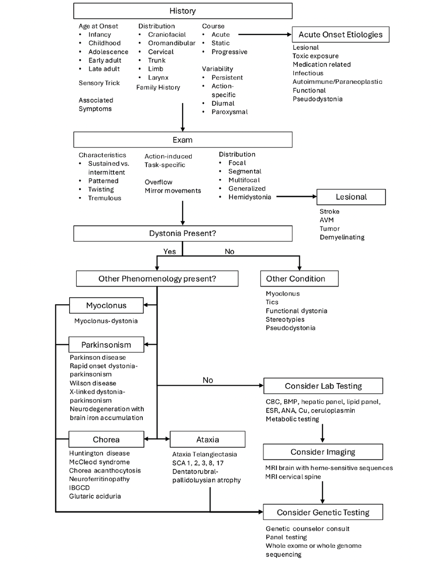 Clinical Diagnostic Evaluation of Dystonia