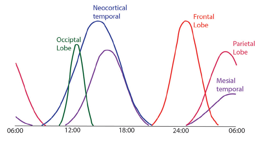 Epilepsy Essentials: Chronobiology of Epilepsy