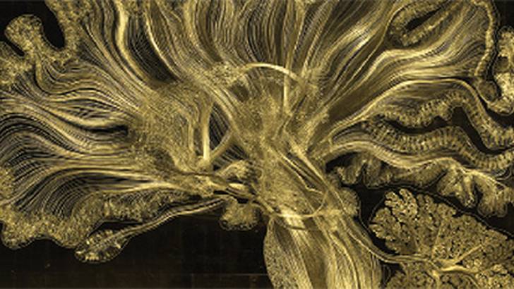 About the Cover Artist: Self Reflected by Greg Dunn